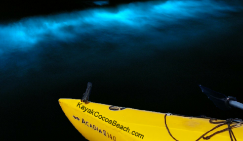 Bioluminescence Florida Kayaking - Cocoa Beach, Merritt Isl.