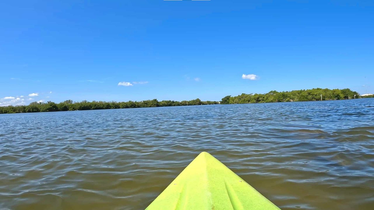 Eco-Touring Guided Kayaking Tours Near Orlando, Florida