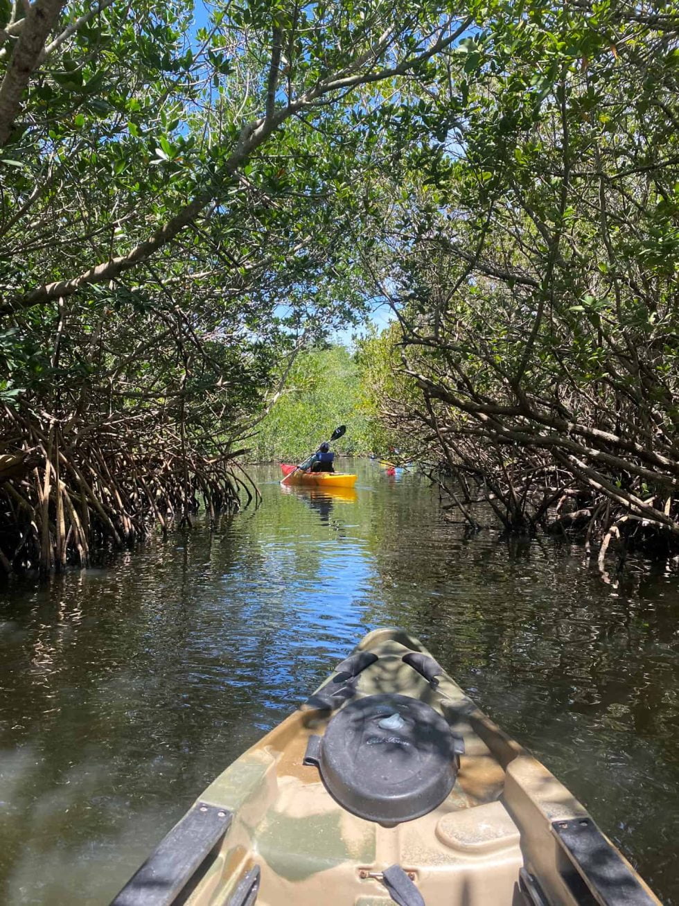 A Memorable Kayaking Tour in Cocoa Beach